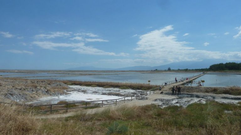 Αλυκές Κίτρους – OlymposPress.gr